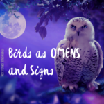 Birds As Omens & Signs: Crows, Owls, Birds in the House & More!