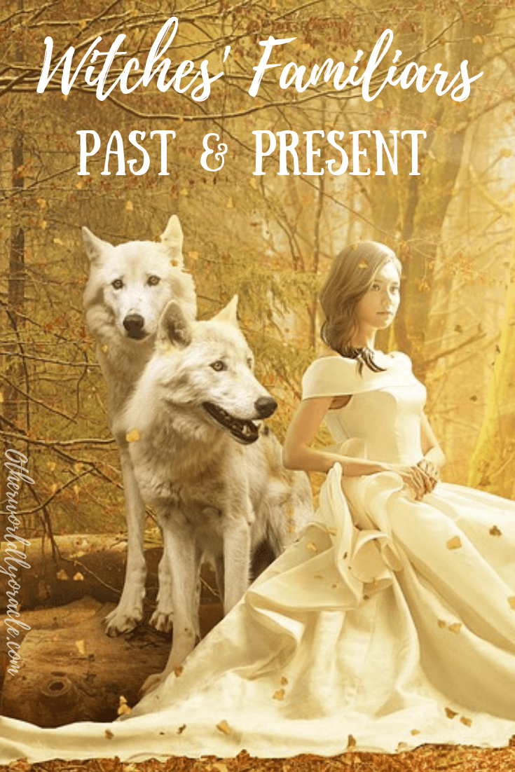 Witches Familiars: What is a Familiar Spirit? And Common Familiars