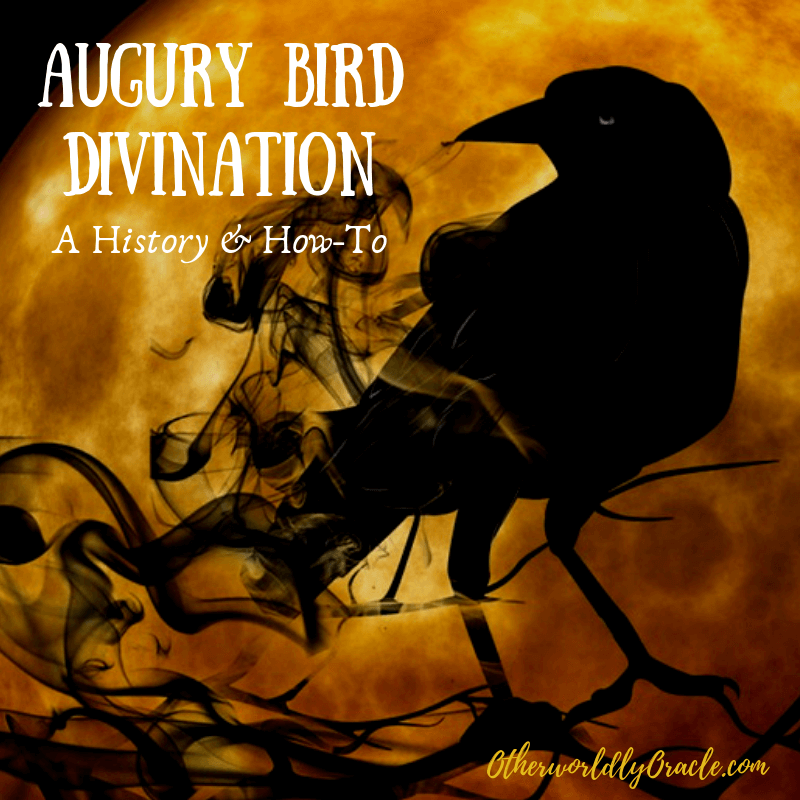 Augury Bird Divination: History & How to Read Bird Flight Patterns