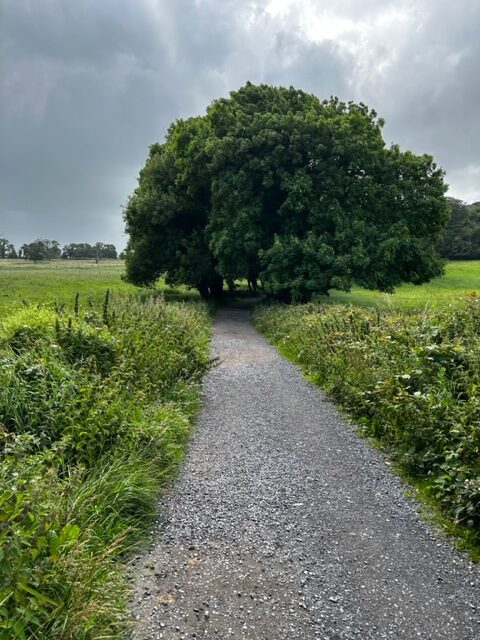 Queen Medb: 9 Ways to Honor the Celtic Goddess of Sovereignty