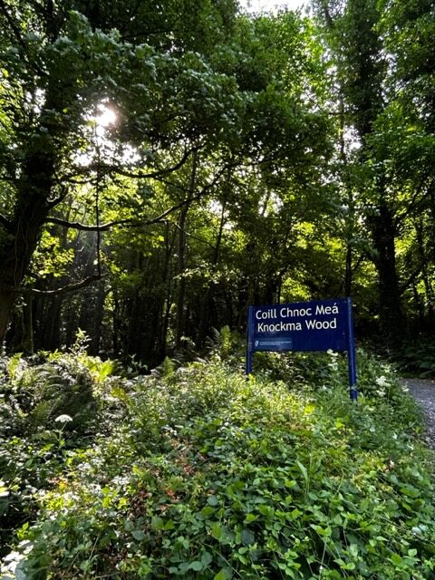 Queen Medb: 9 Ways to Honor the Celtic Goddess of Sovereignty