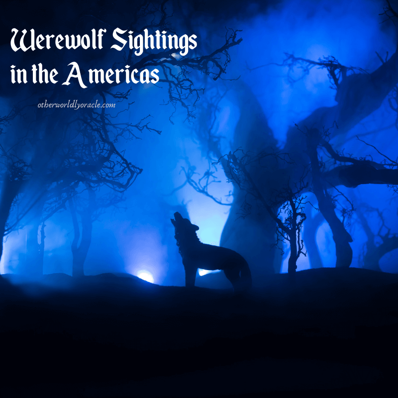 Werewolf Sightings: Shapeshifters in the U.S. and Argentina