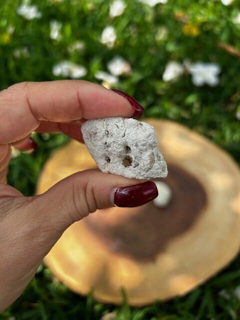 Hagstone ~ Holeystone from the GULF of Mexico ~ Sea Witch Amulet