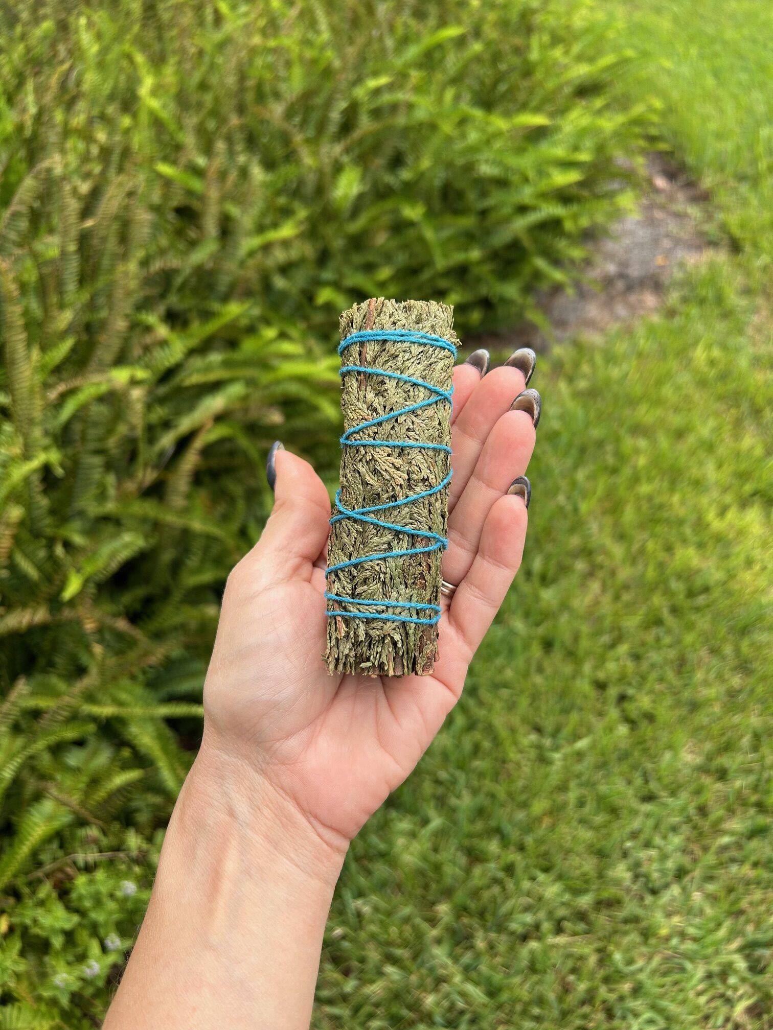 Cedar Smudge Bundle ~ Smoke Cleansing Bundle ~ PURIFY