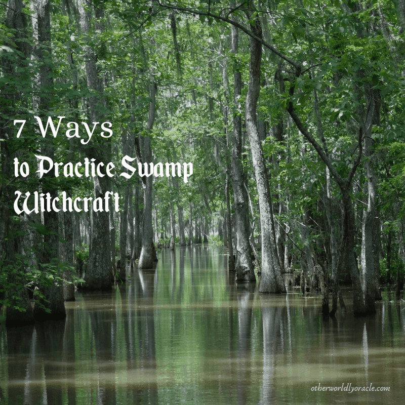 Swamp Witch: 7 Ways to Practice Magick in the Marsh - Otherworldly Oracle