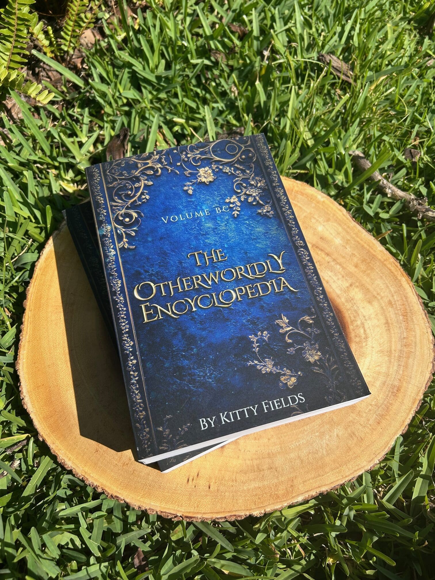 The Otherworldly Encyclopedia Book: Volume BC SIGNED Copy!